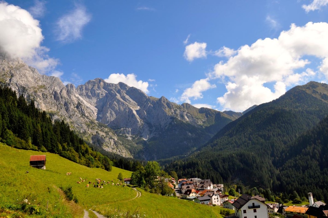 Caccia agli ungulati: "il cervo di Ciampei". - Caccia Passione