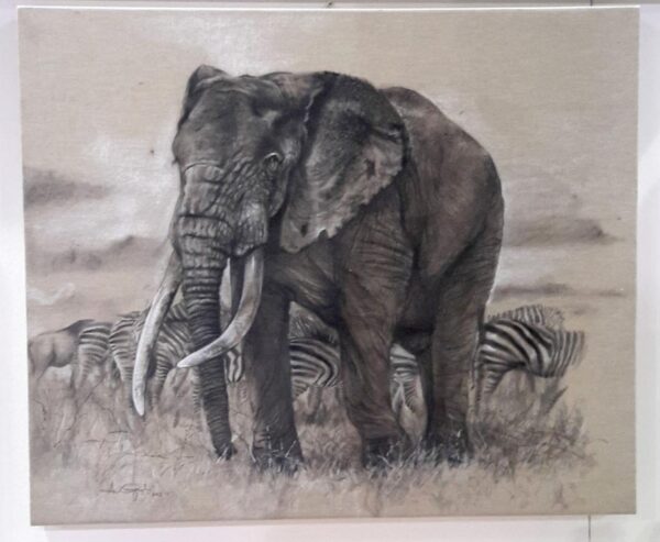 Alessia Griglio. Wildlife in bianco e nero.. - Caccia Passione