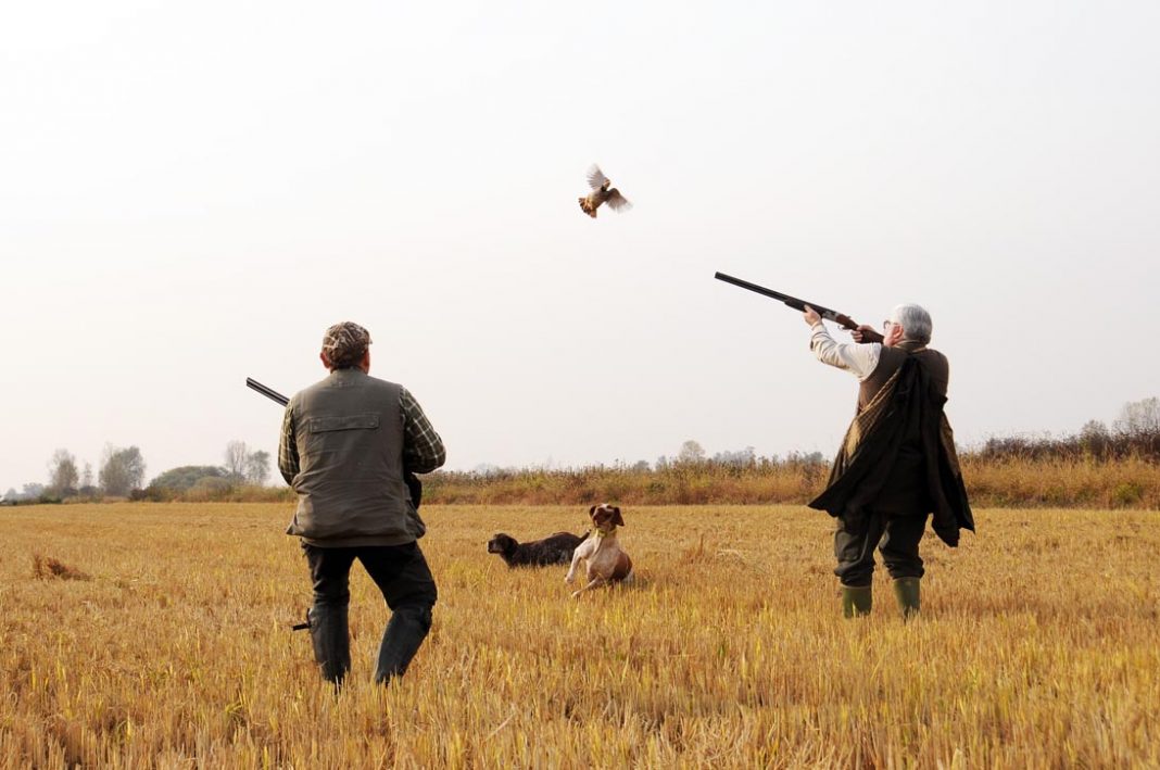 Con la Beretta a caccia nell’Azienda Agrituristica Venatoria “Arborio ...