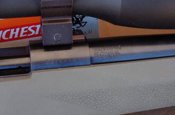 Howa 1500 Varminter Hogue in .300 Win. Mag. - Caccia Passione