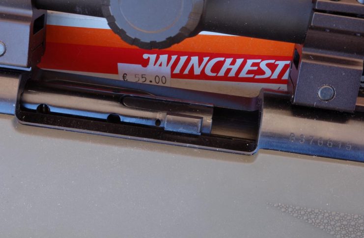 Howa 1500 Varminter Hogue in .300 Win. Mag. - Caccia Passione