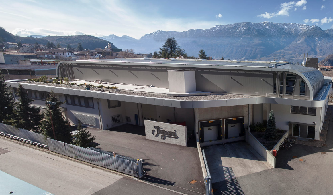 Importante avviso di sicurezza di Bignami Spa su alcune delle sue armi ...