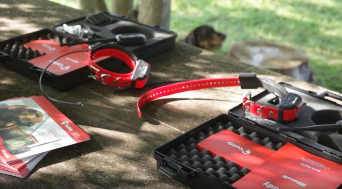 Tracciando il Caddy di Benelli - Caccia Passione