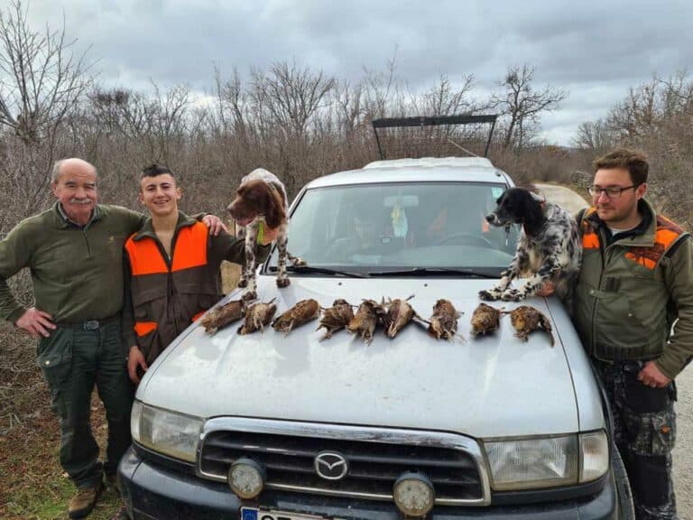 Caccia alla beccaccia in Croazia. Scopri l’offerta!! - Caccia Passione