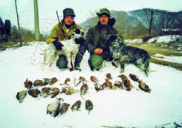 Caccia alla beccaccia in Croazia. Scopri l’offerta!! - Caccia Passione